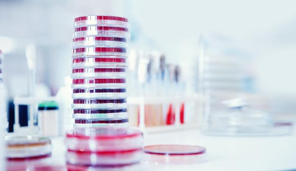 Microbiology Testing - Tentamus California